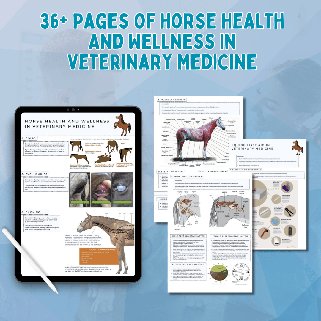 vetsmartnotes.com | VET SMART NOTES