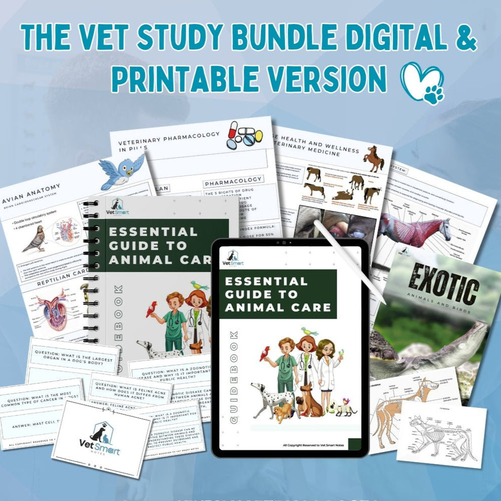 The Vet Study Bundle Digital & Printable Version – VET SMART NOTES